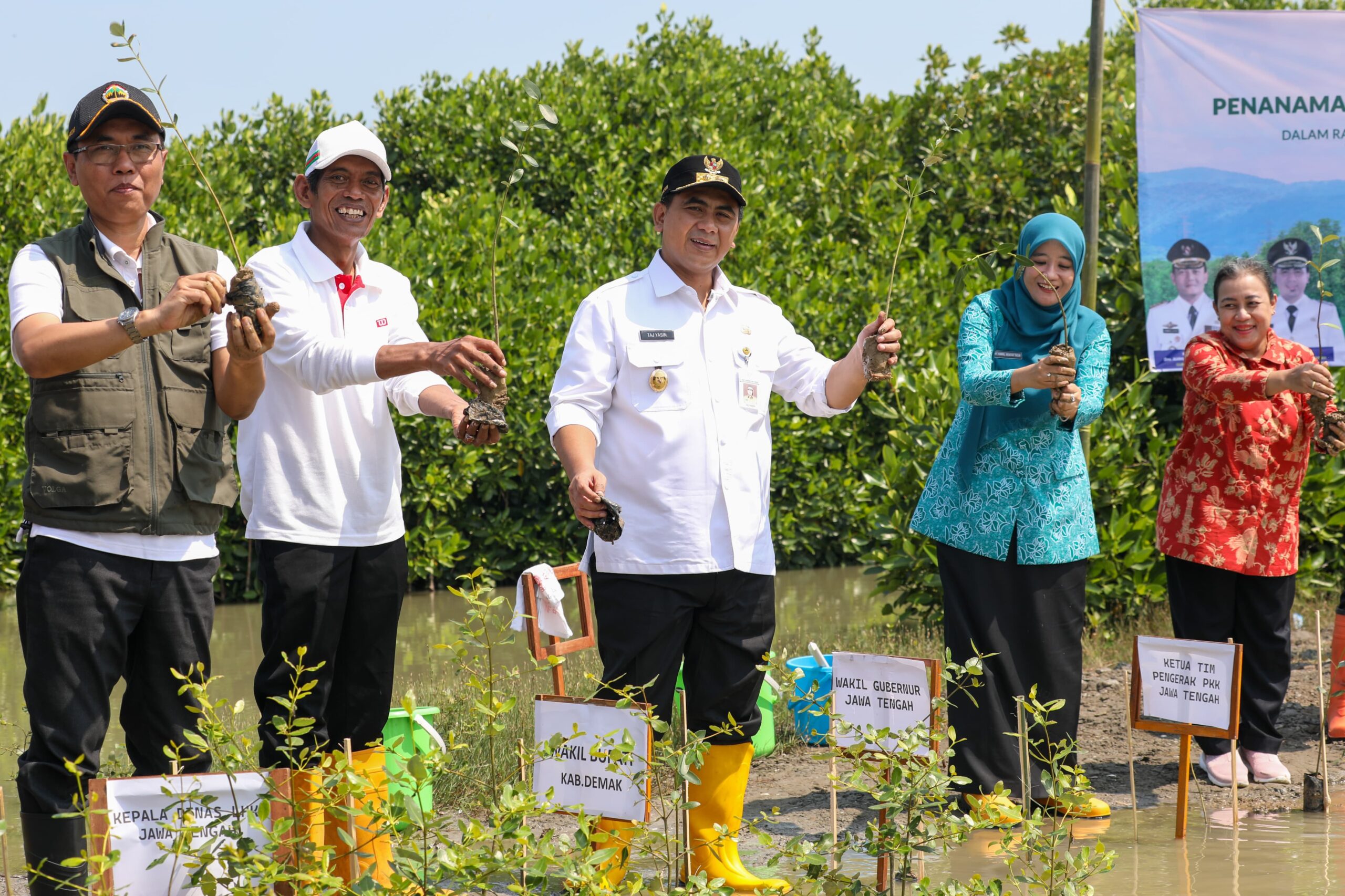 Upaya Pemprov Jateng Tanggulangi Banjir Rob Demak, Dari Taman Mangrove ...